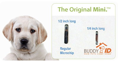 Learn More about Pet Microchips and the Buddy ID™ Registry